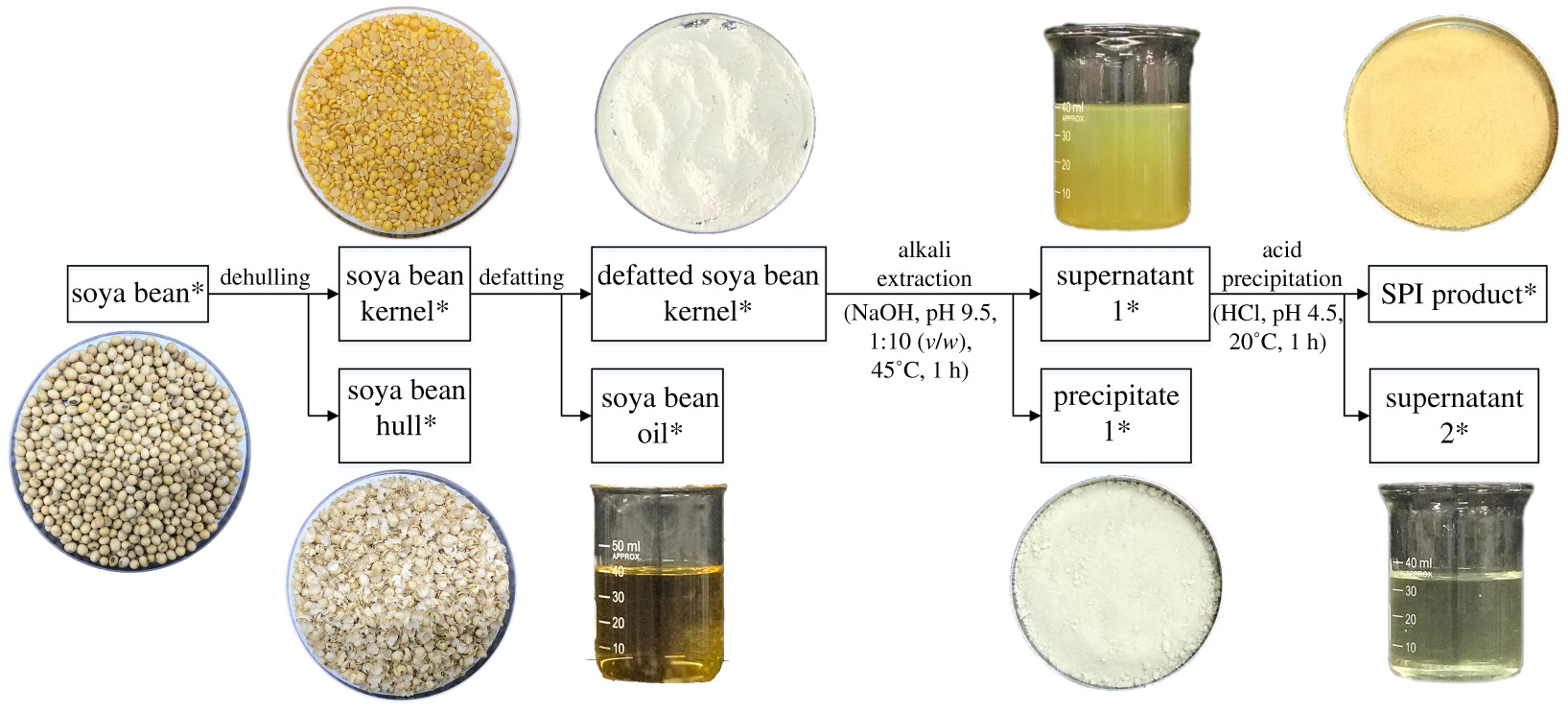 Is soy protein isolate genetically modified?