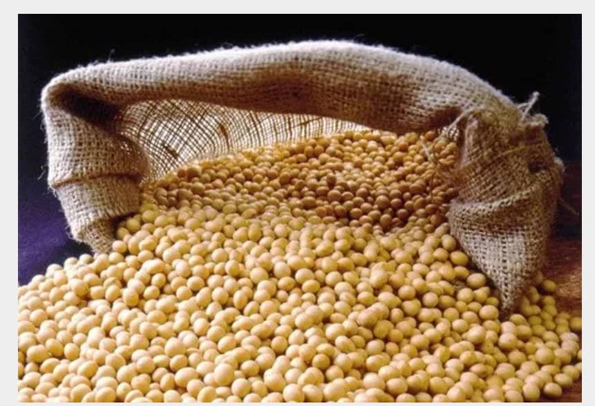 Is Soya a cash crop?