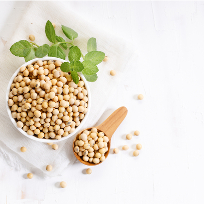 Is soya good for hot flushes?