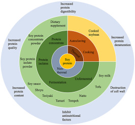Is soybean high quality protein?