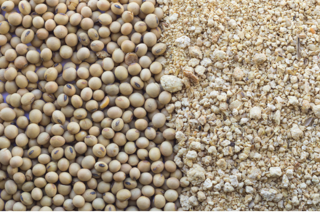 Is soybean meal a commodity?