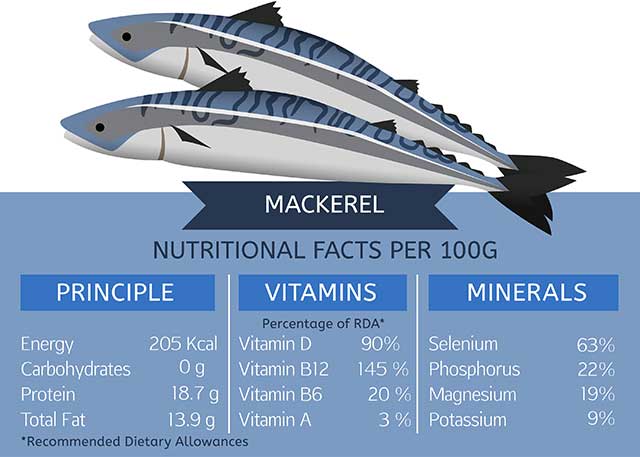 Is Spanish mackerel healthy?