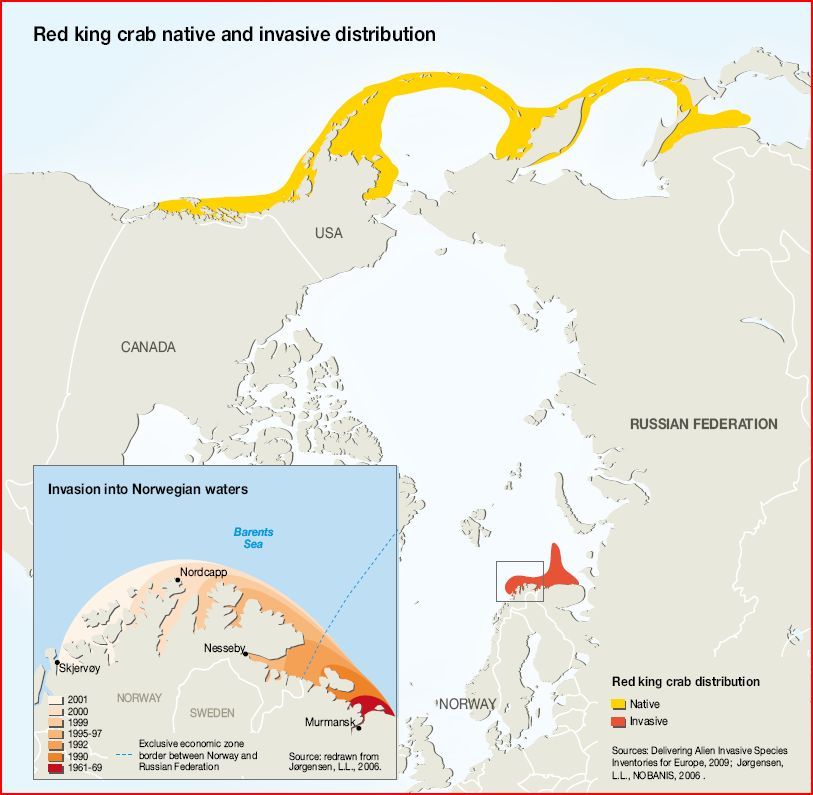 Is the Alaskan King Crab an invasive species?