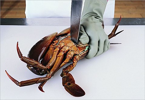 Is there a humane way to kill crabs for human consumption?
