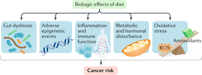 Is there a link between diet and cancer?