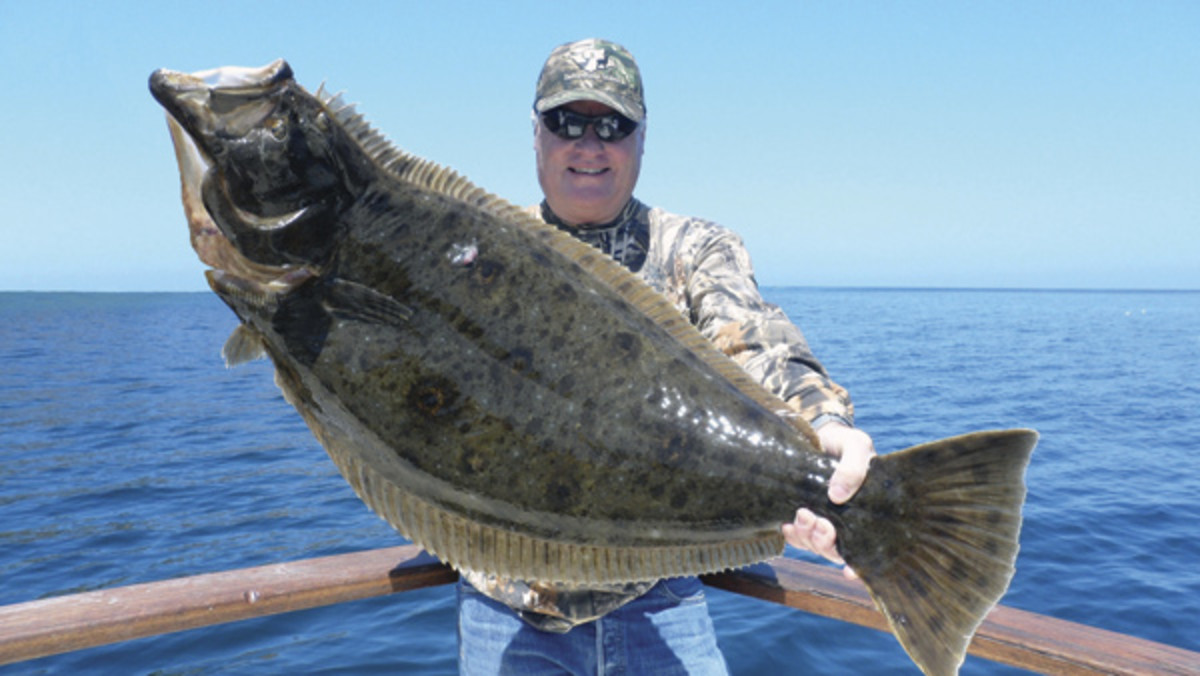 Is there a season for California halibut?