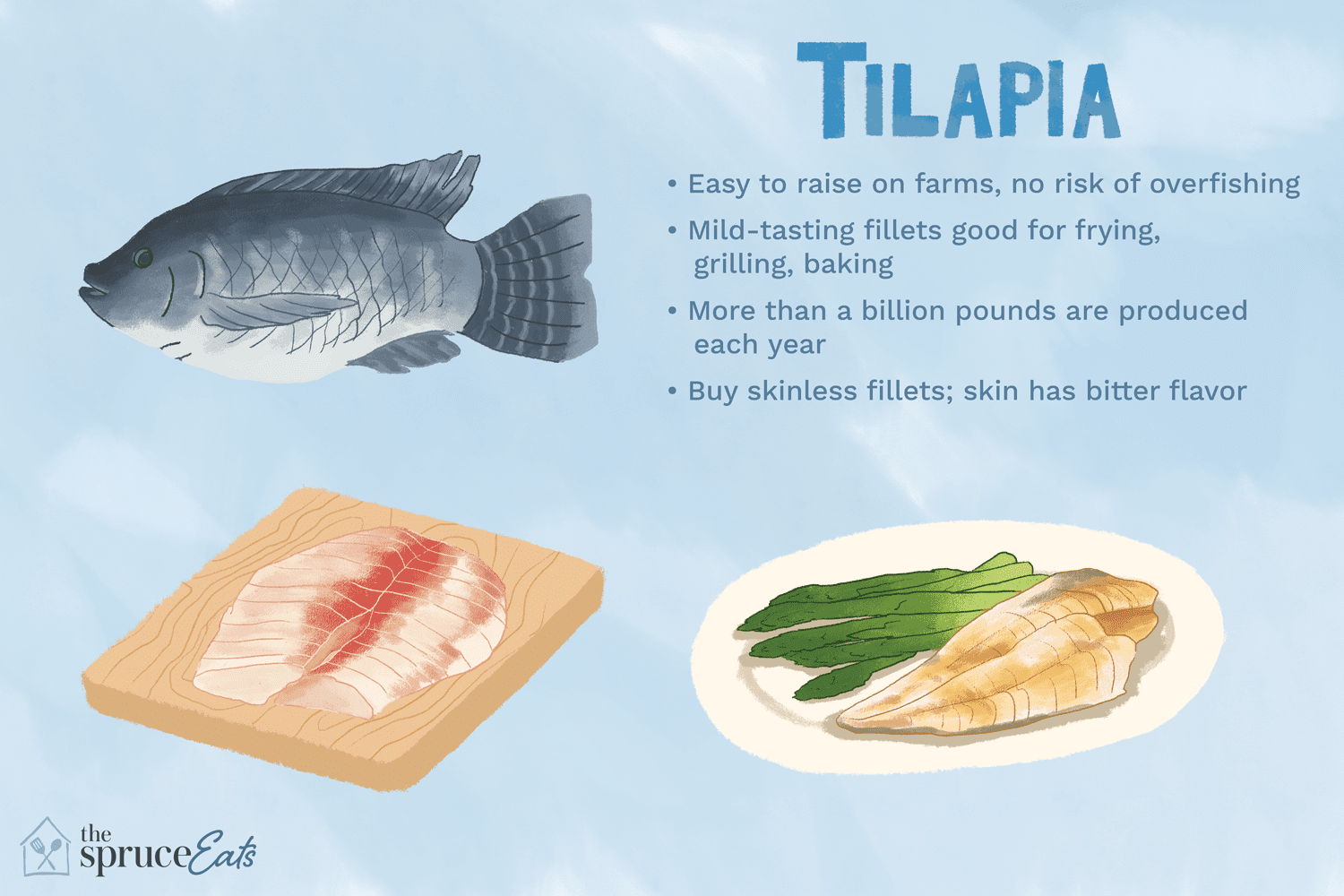 Is tilapia considered a firm fish?