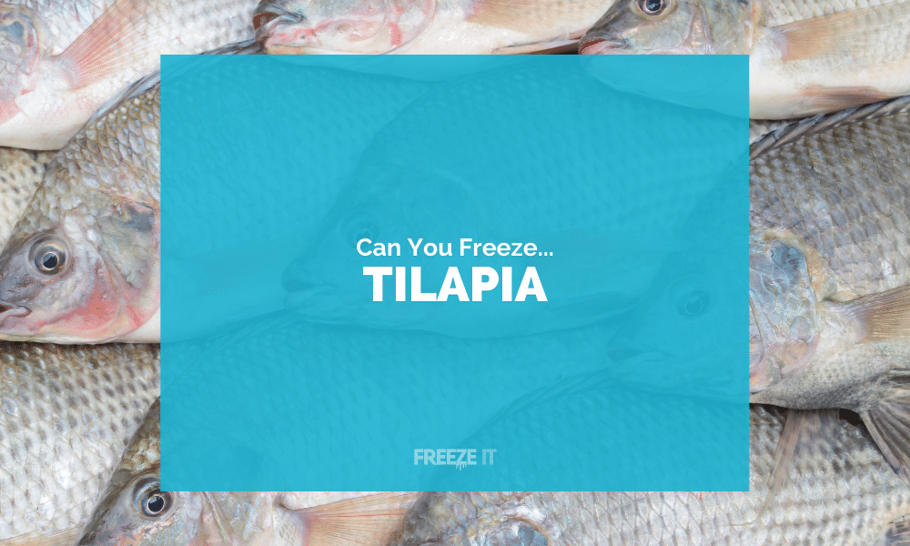 Is tilapia supposed to be frozen?