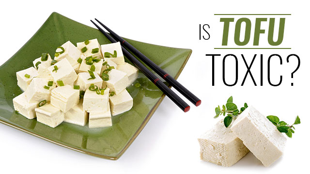 Is tofu toxic?