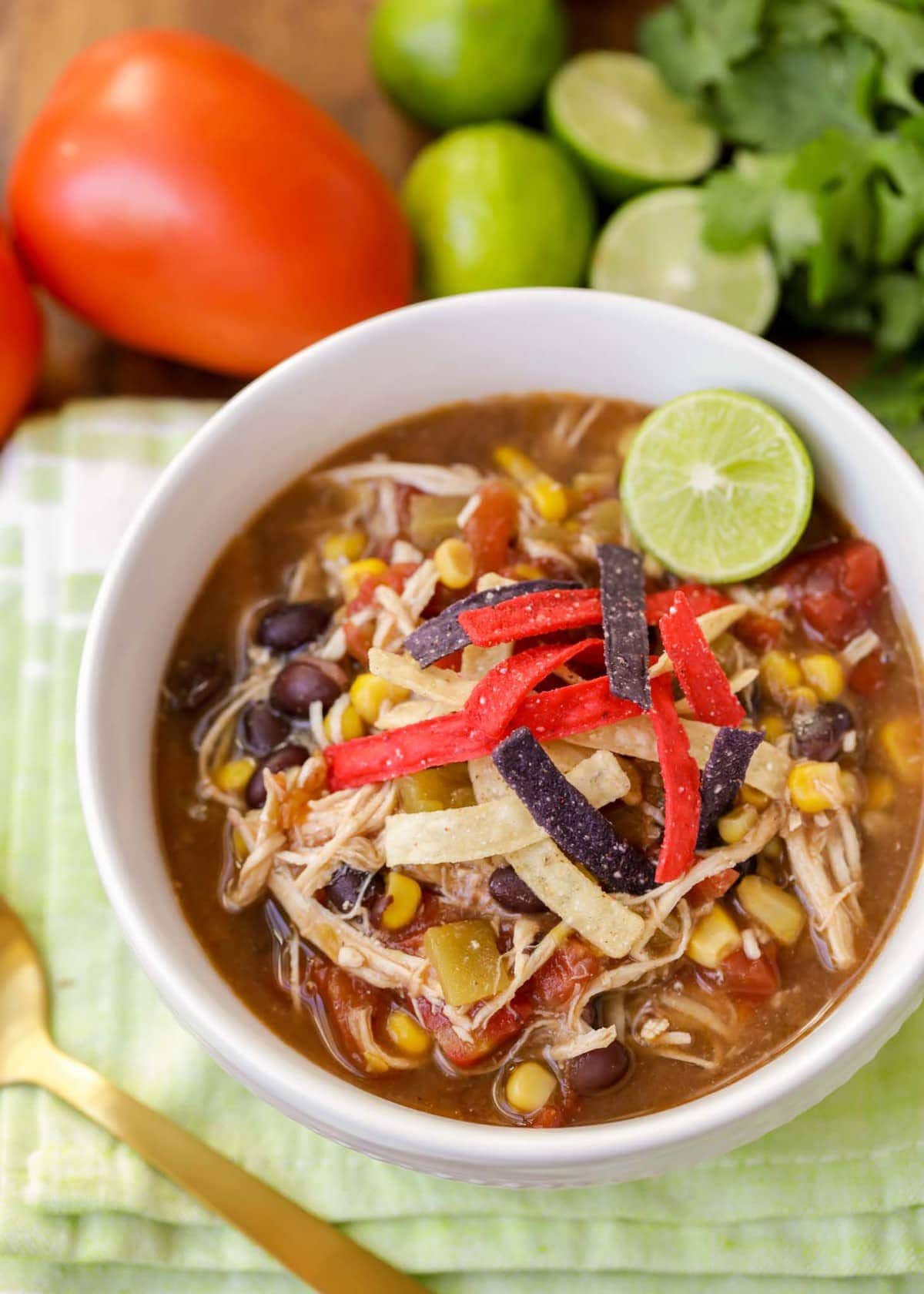Is Tortilla Soup nutritious?