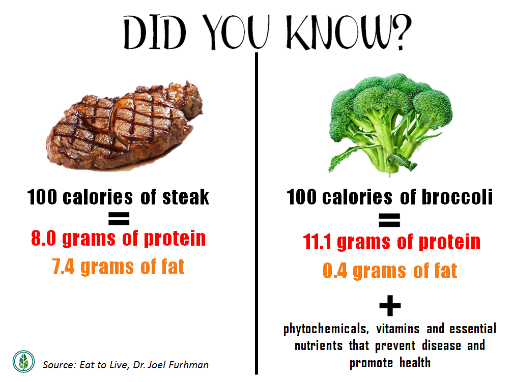 Is vegan protein better than meat?