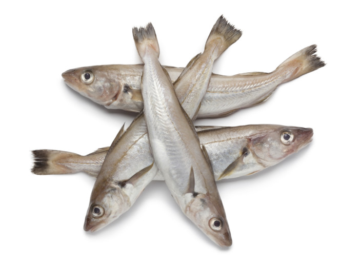 Is Whiting like tilapia?