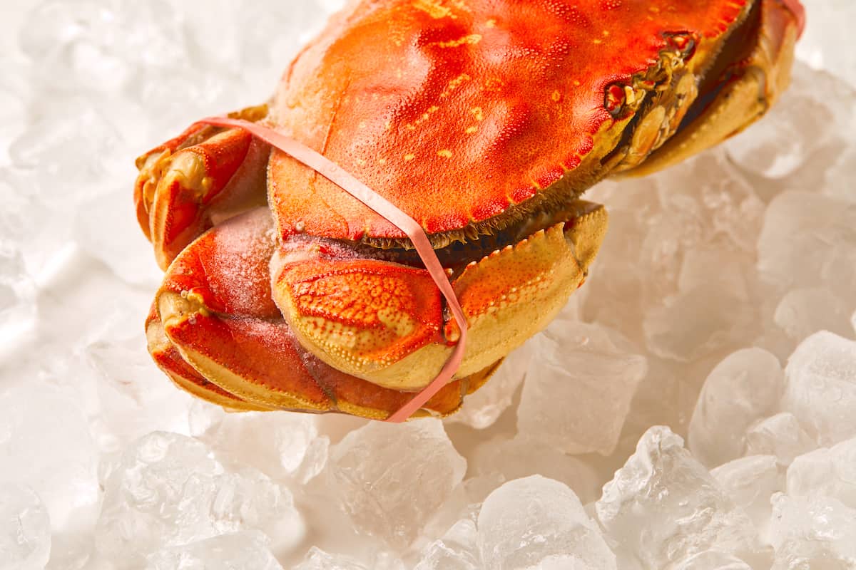 Should I freeze my crab meat?