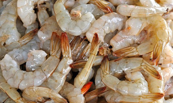 Should shrimp taste sweet?