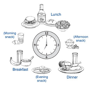 Should you eat a meal every 4 hours?