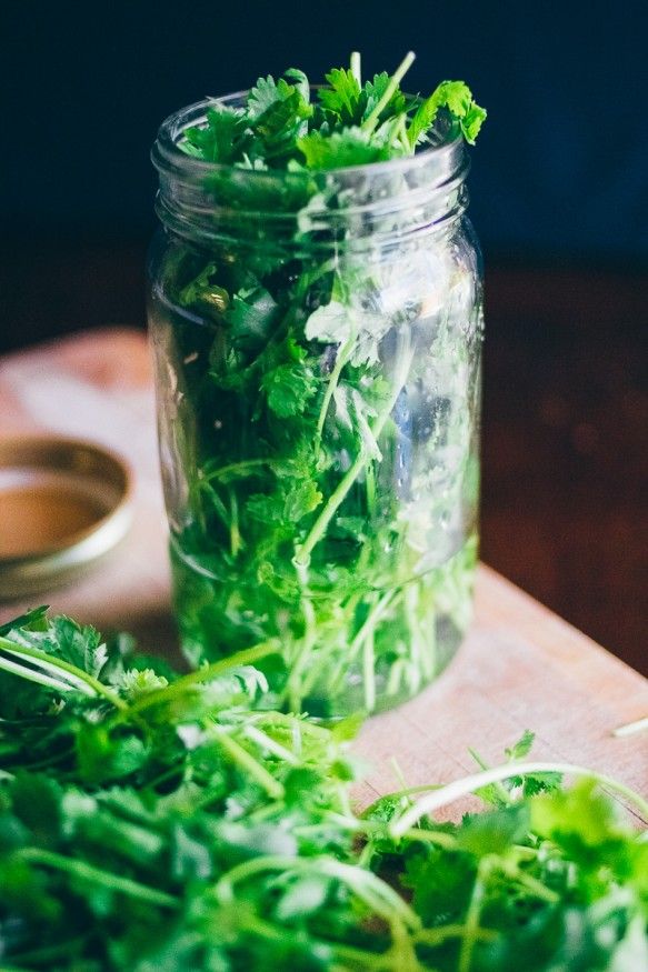 Should you keep cilantro in the fridge?