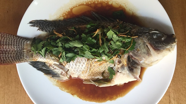 Should you soak tilapia before cooking?