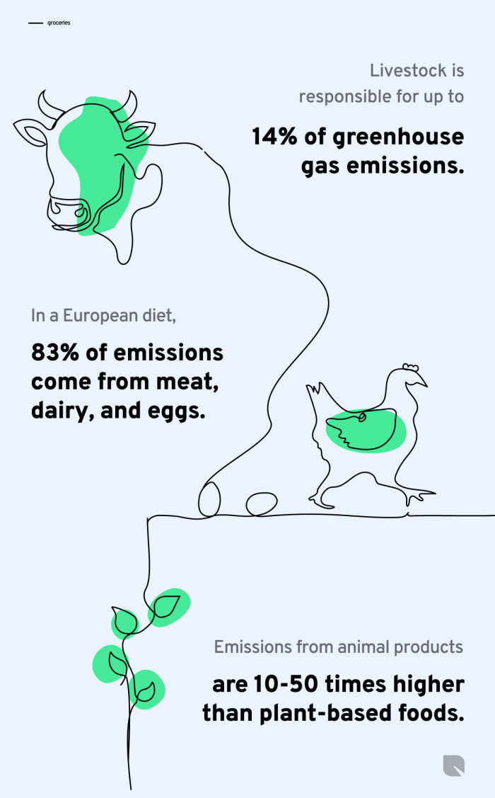 Should you swap animal products for tofu?