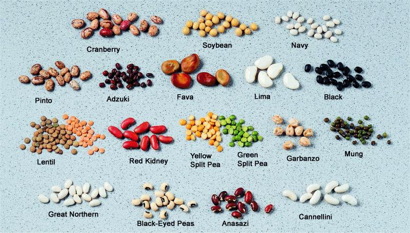What 4 foods are legumes?