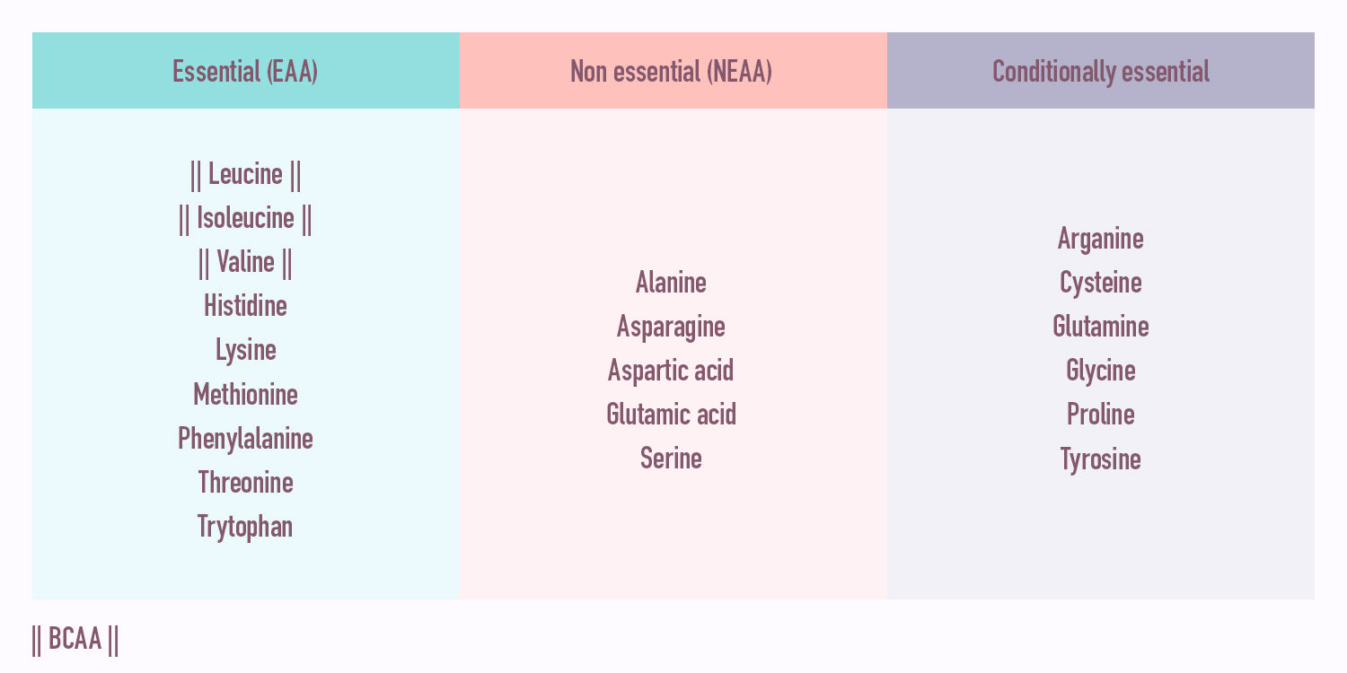 What amino acids are lacking in a vegan diet?