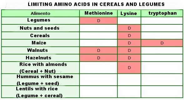 What amino acids are missing in an incomplete protein?