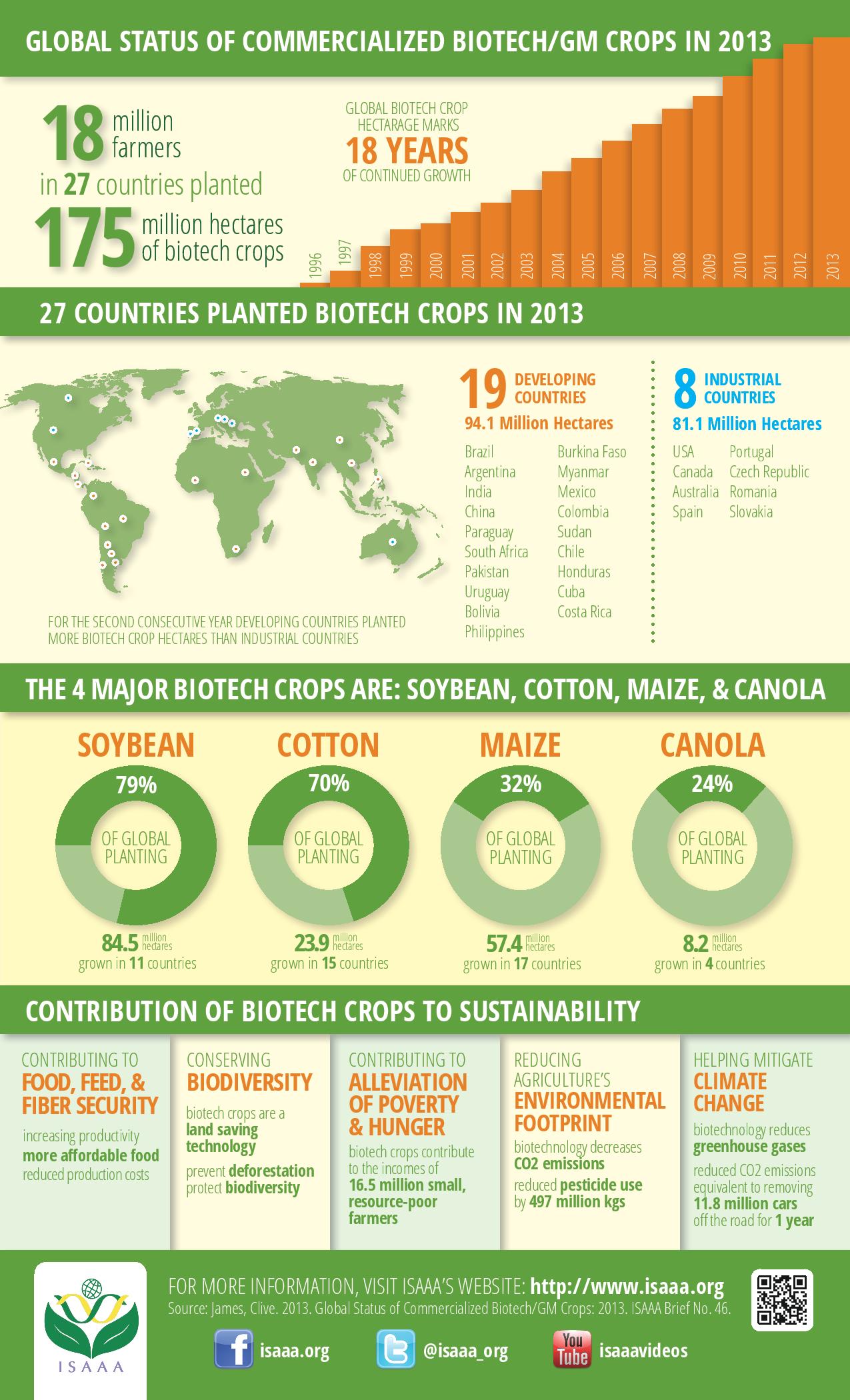 What are 2 of the top 4 GMO crops?