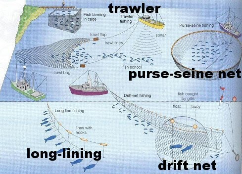 What are 3 methods of overfishing?