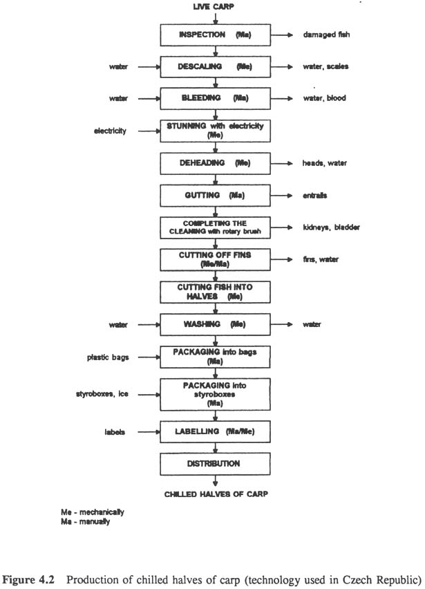 What are examples of fish processing?