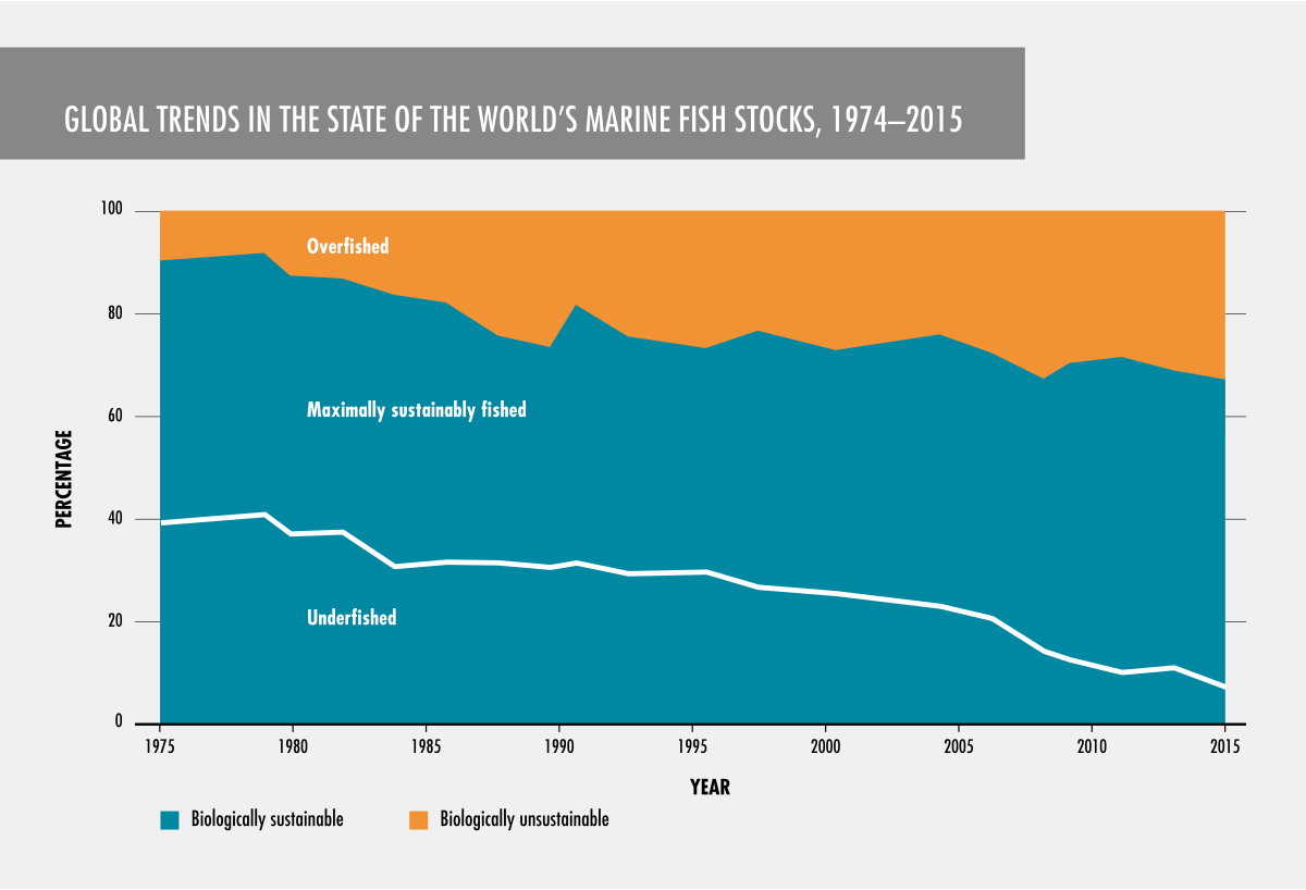 What are fish stocks in fisheries?