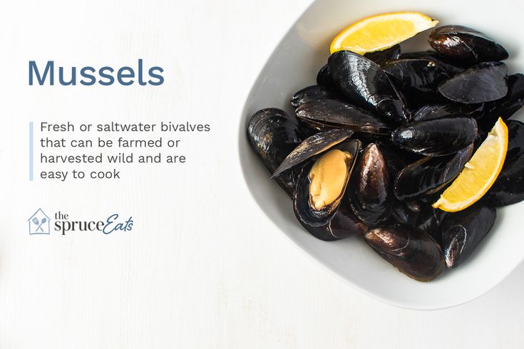 What are mussels similar to?