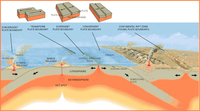 What are the 2 types of Earth's plate?