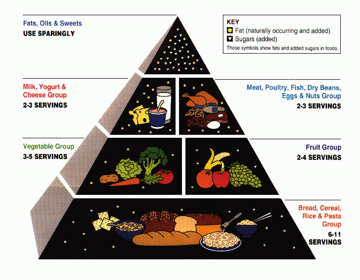 What are the 3 major nutrient groups?