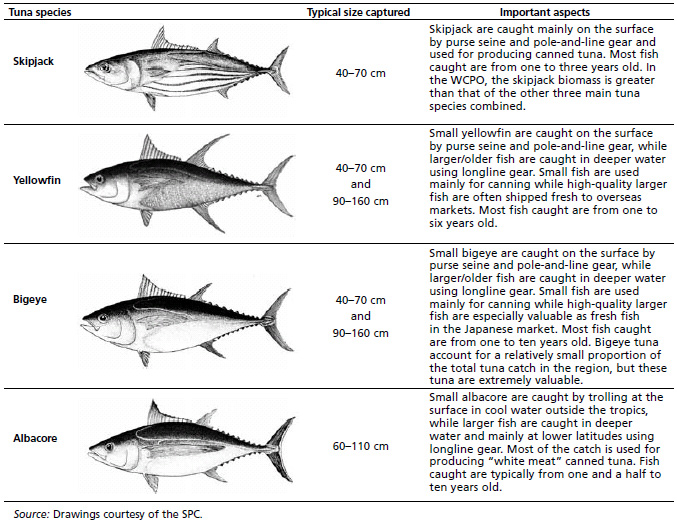 What are the 3 most harvested fish?