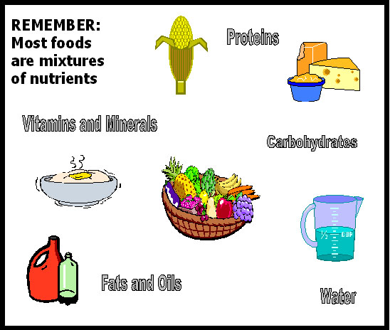 What are the 3 most important feed nutrients?