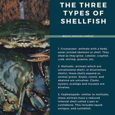 What are the 3 types of shellfish?