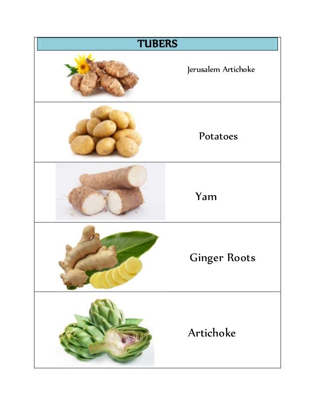 What are the 4 classification of vegetables?