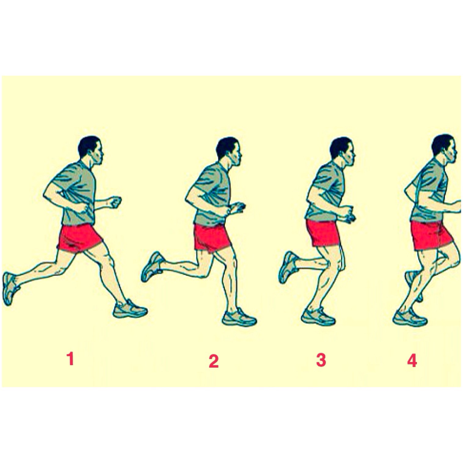 What are the 4 phases of running?