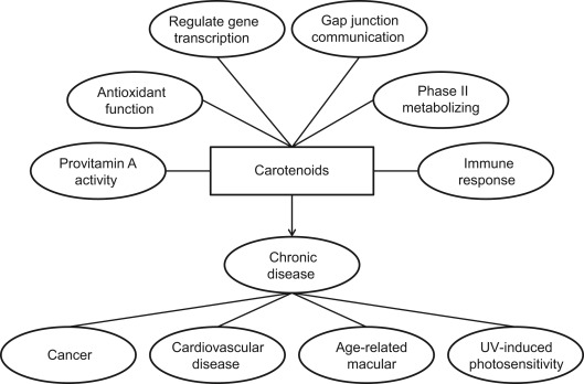 What are the benefits of carotenoids?