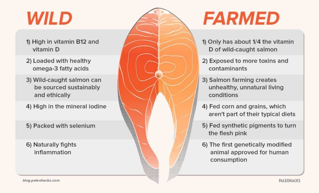 What are the benefits of wild caught salmon?