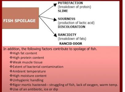What are the causes of spoilage of fish?