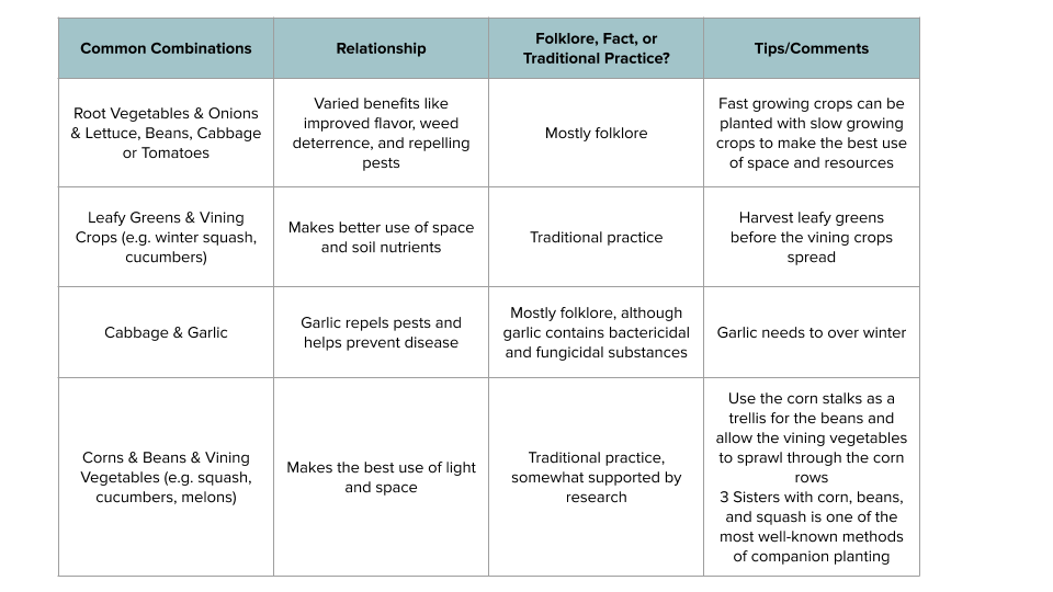 What are the disadvantages of companion planting?