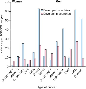 What are the effects of diet on cancer?