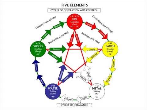 What are the five roots of traditional Chinese medicine?