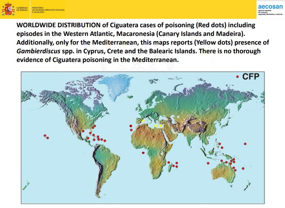 What are the four main types of fish poisoning occur in world?