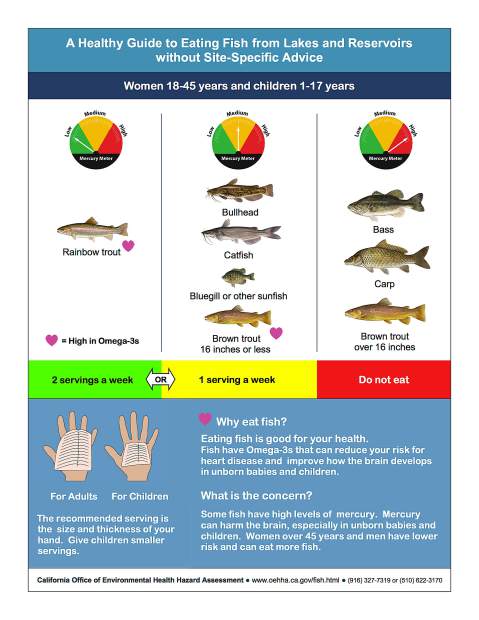 What are the guidelines for children eating fish?