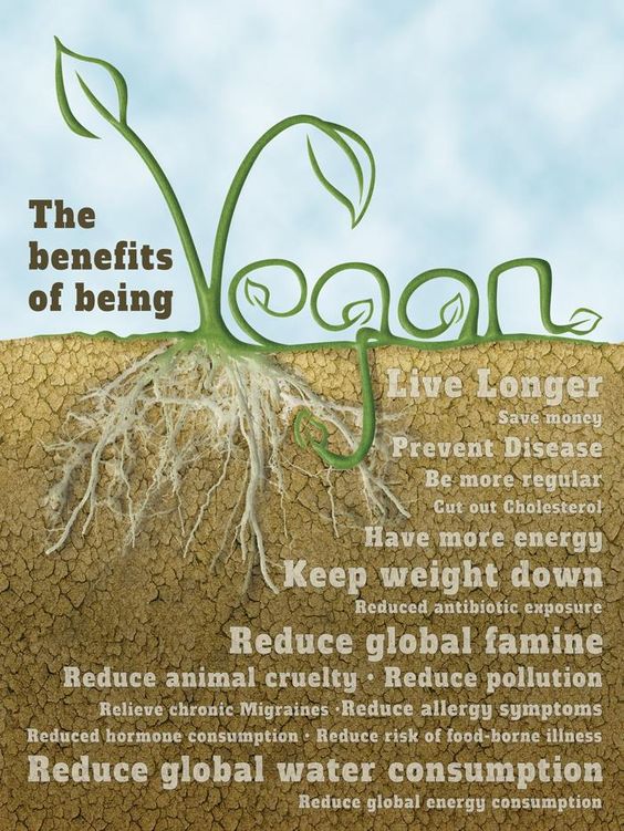 What are the positives of going vegan?