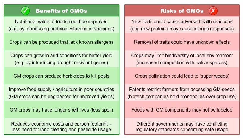 What are the risks of genetically modified organisms?