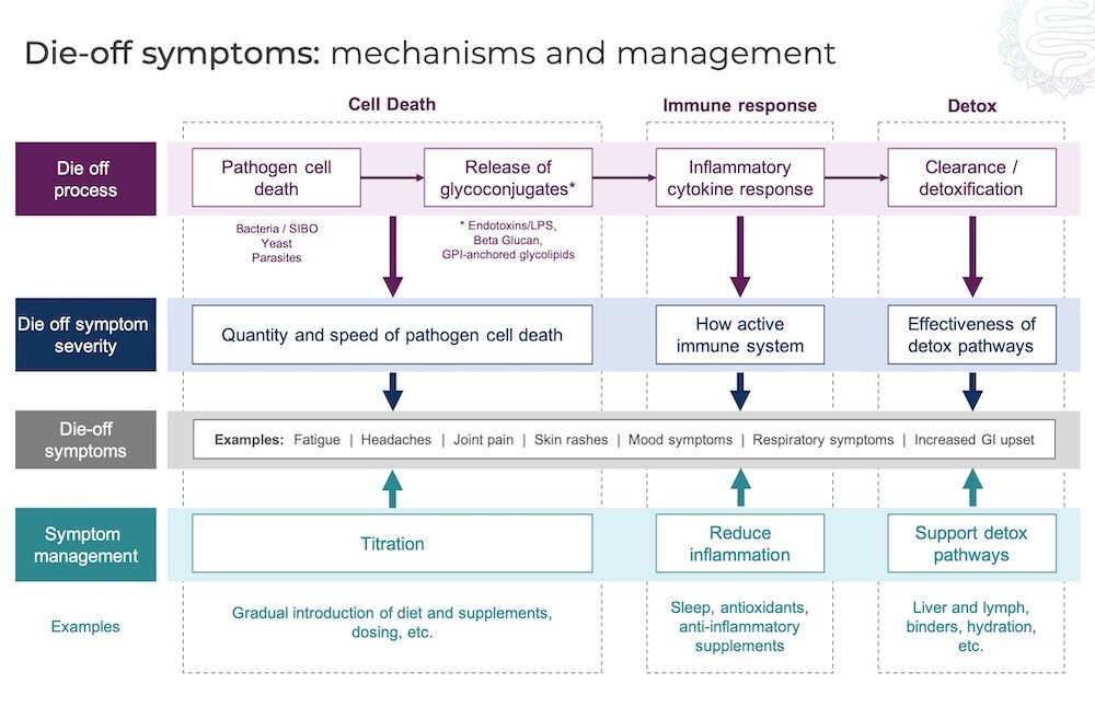 What are the SIBO treatment strategies that doctors use to reduce bacteria?