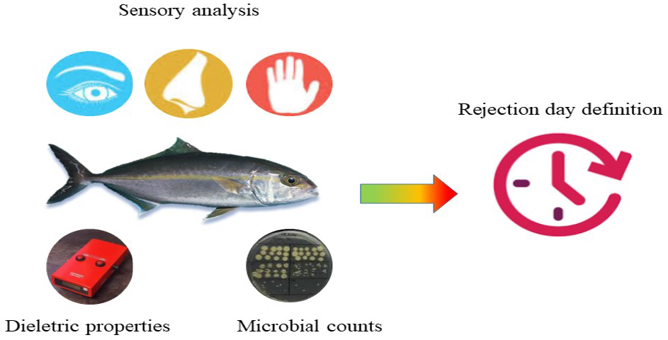 What are the six techniques for determining the freshness of fish and shellfish?