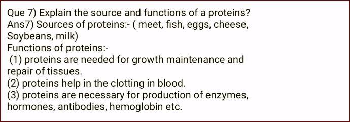 What are the sources of protein short answer?